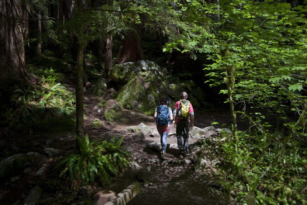 sol-duc-hot-springs-resort_hiking_2 | Nation's Vacation